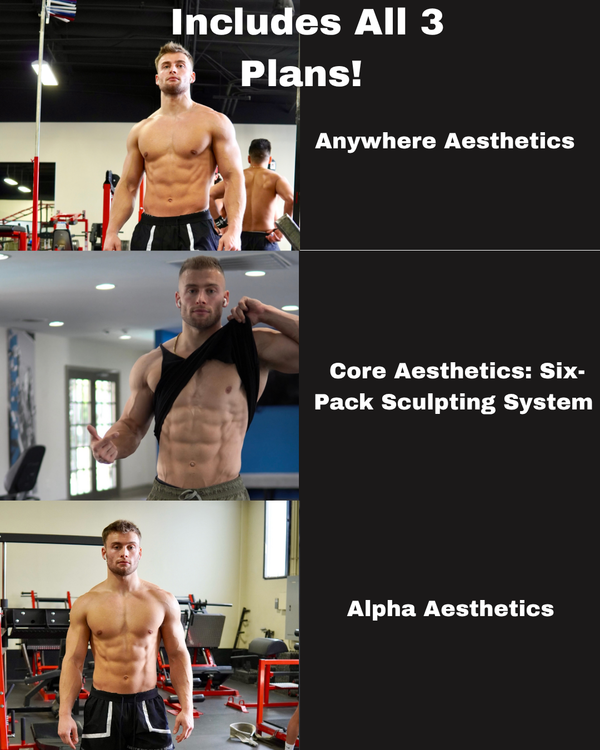 Total Body Aesthetics Bundle (Includes All Workouts) - Save More ...